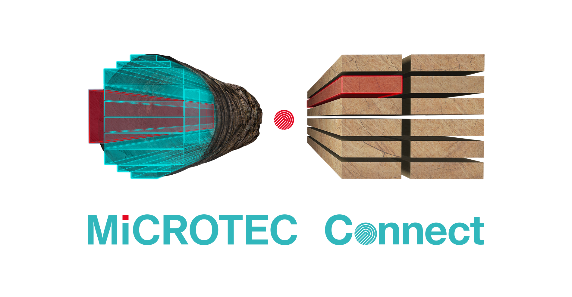 MiCROTEC - Innovating Wood